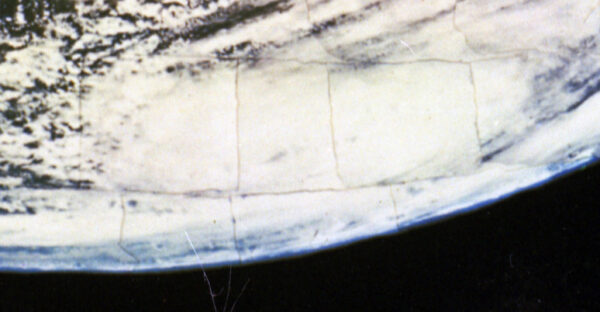 FIRST COLOR PHOTO OF EARTH FROM SPACE - THE BERG FILM III - Apollospace